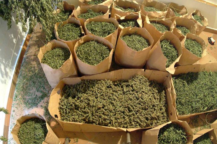 Wiet drogen en curen met de papieren-zak-methode - CNNBS.nl