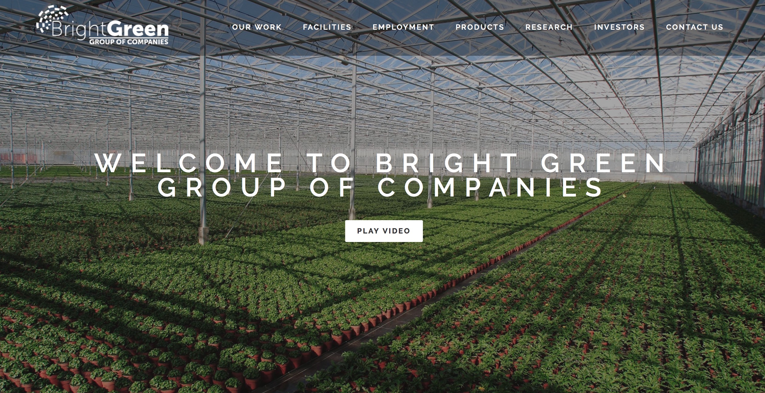 Bright Green Group: wietkas voor 40 miljoen planten - CNNBS.nl