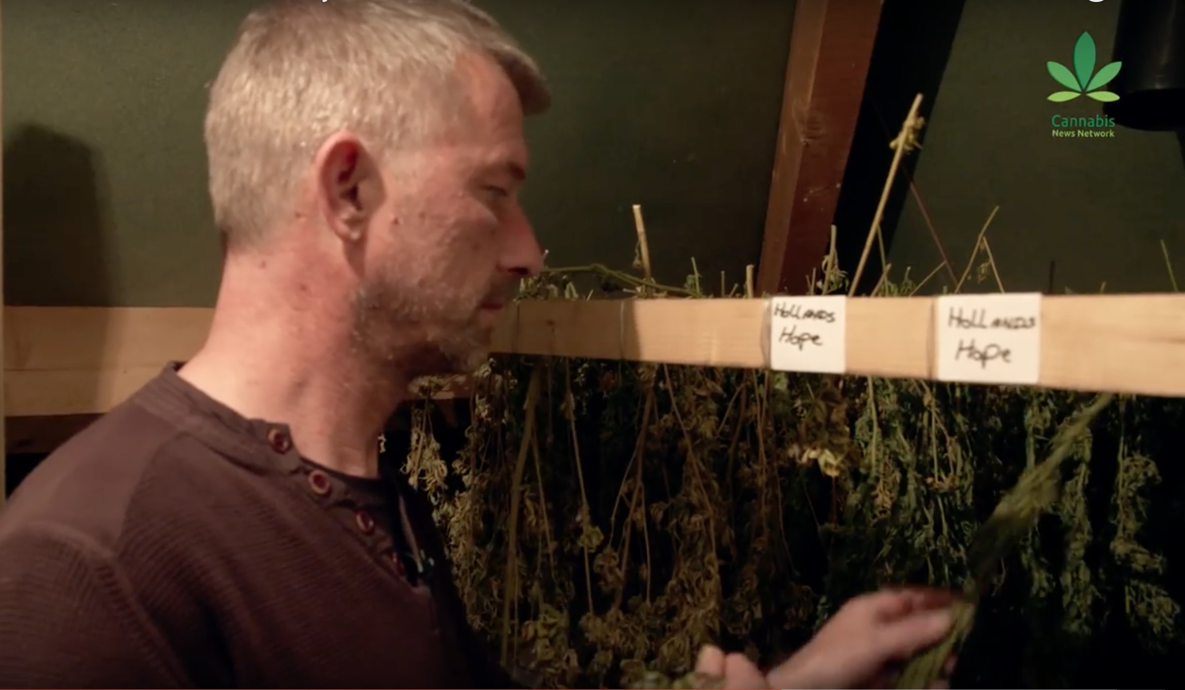 CNN-portret mediwiet strijder Bart Hissink - CNNBS.nl