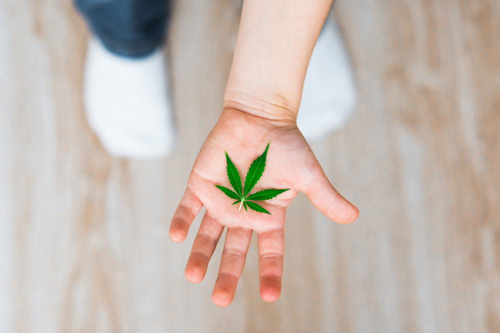 Mijn eerste wietplantje #2: Ontkiemen - CNNBS.nl