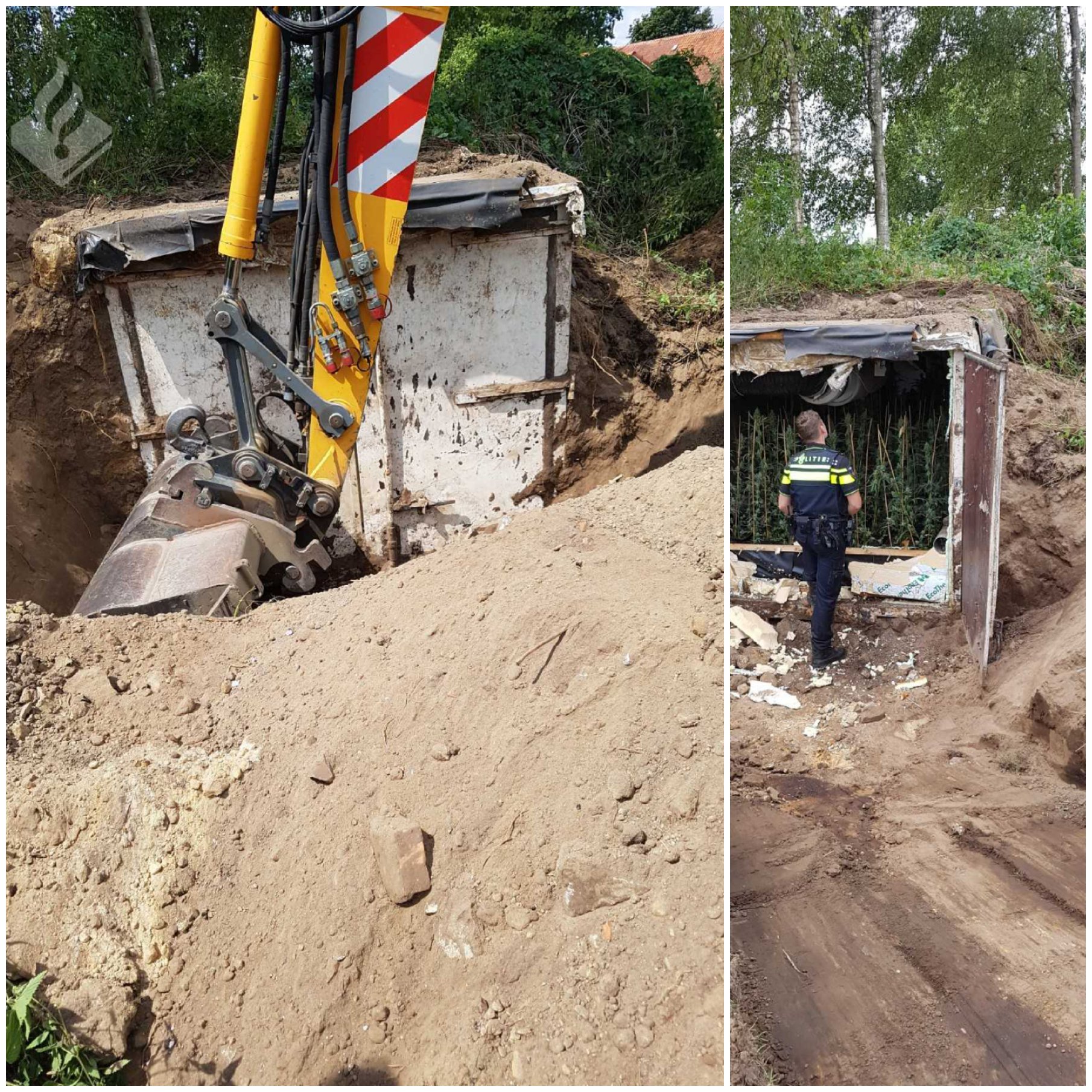 Trend? Weer ondergrondse wietkwekerij opgerold! - CNNBS.nl