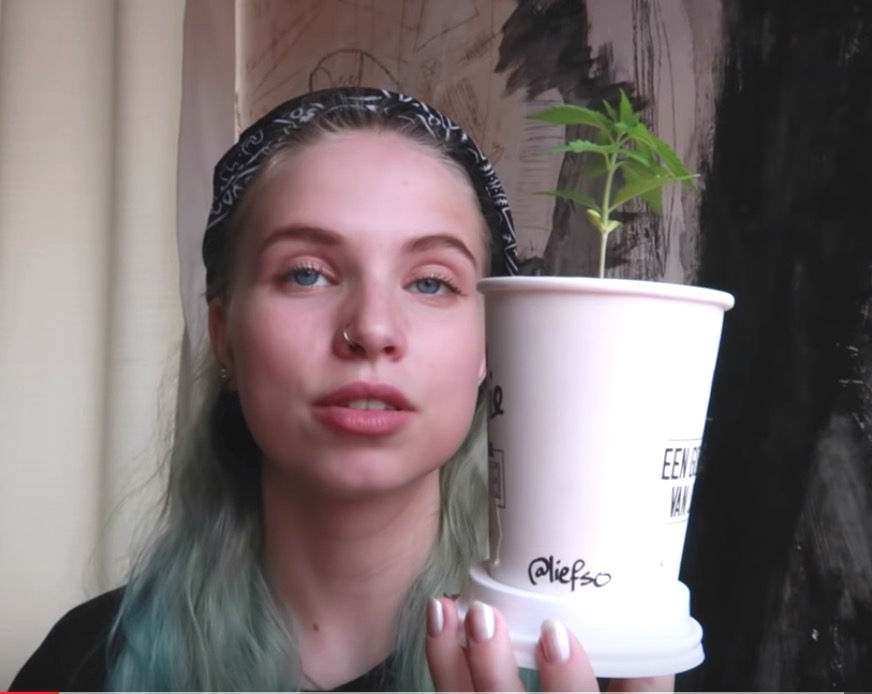 Video >> Lieve gaat groen: wietplant in koffiebeker - CNNBS.nl