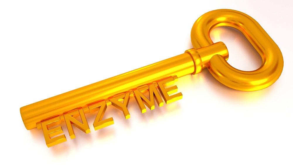 Enzymen: wat doen ze voor je wietplanten? - CNNBS.nl