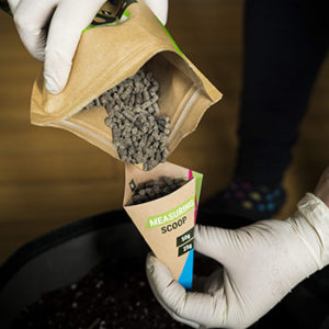 Easy Boost: wietplanten voeden is een eitje - CNNBS.nl