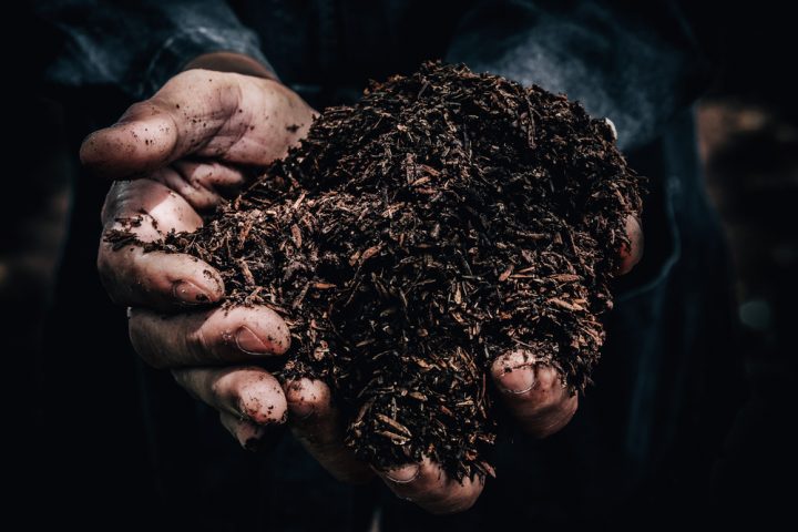 Aarde & potgrond voor wiet: onze beste artikelen over het zwarte goud ...
