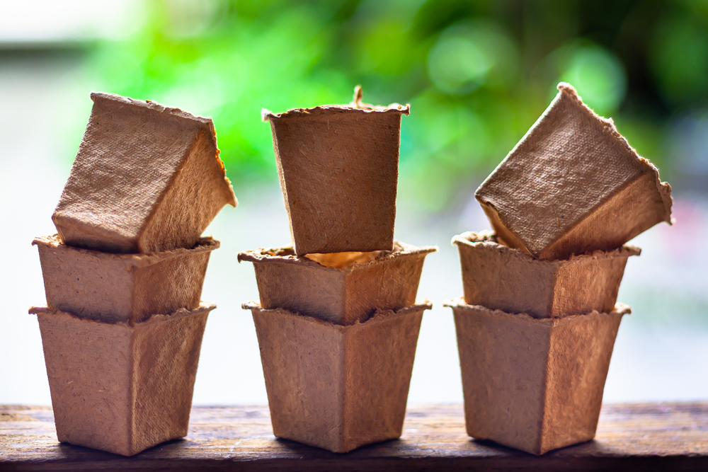 Zijn composteerbare potjes ook goed voor wietplantjes? - CNNBS.nl