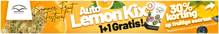 De fijne kunst van het wiet drogen - CNNBS.nl