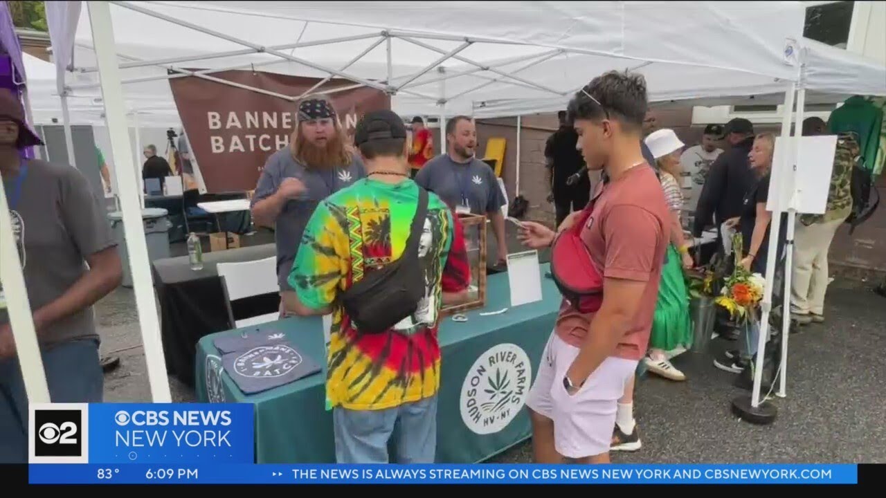 Video >> New Yorks eerste pop-up cannabis farmers markt - CNNBS.nl