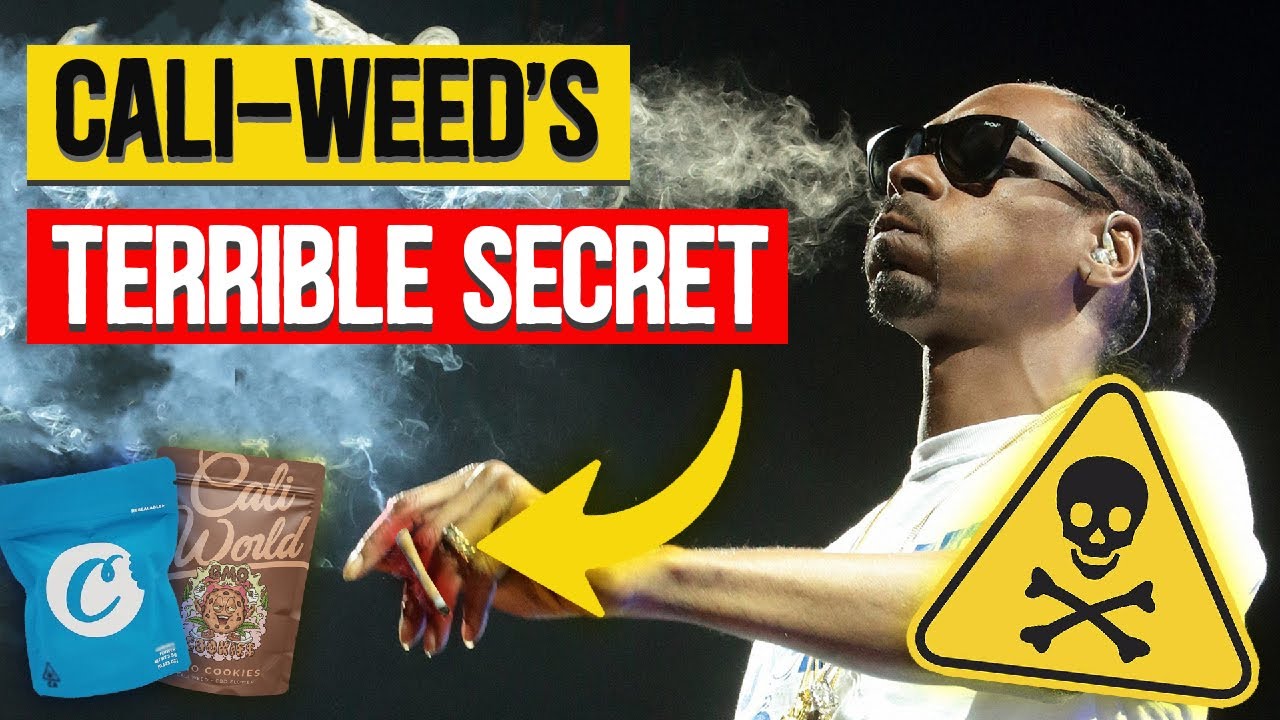 Cali Weed - Het trieste verhaal achter hiphop's beroemdste wiet - CNNBS.nl