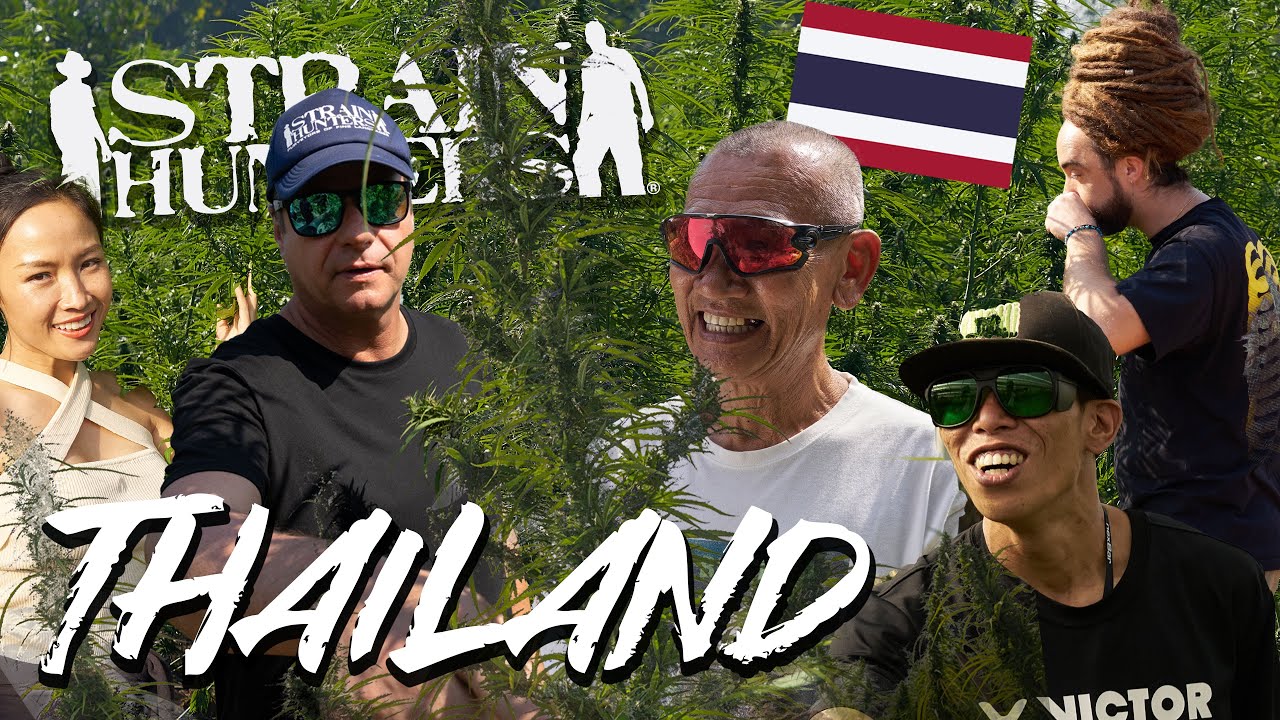 Nieuw avontuur Strain Hunters: op expeditie in Thailand - CNNBS.nl