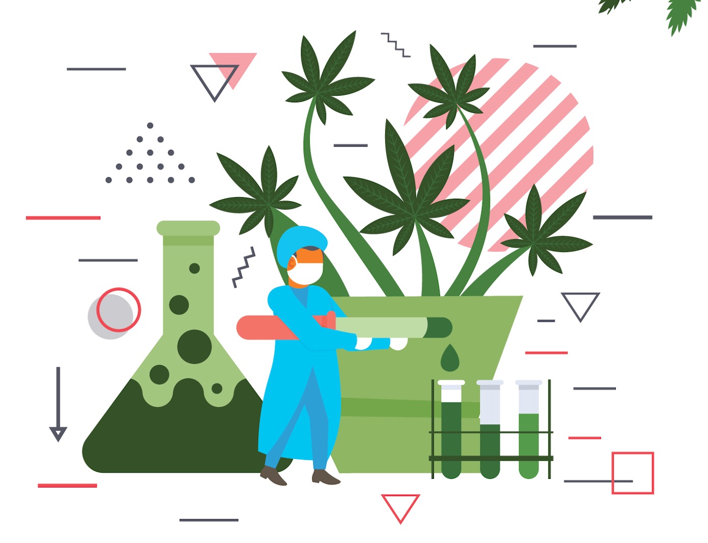 Test illegale coffeeshop wiet en hasj: vervuiling valt reuze mee ...