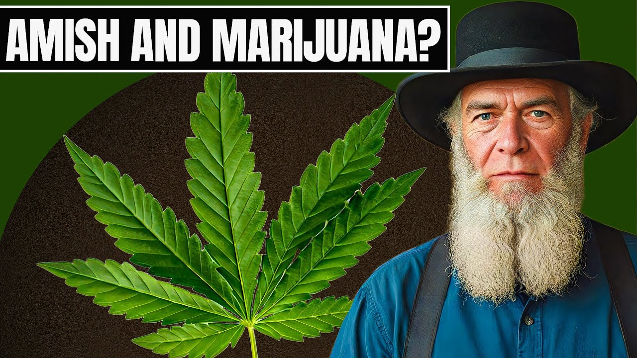 Aapjes Amish kijken: roken, kweken en verkopen zij wiet?! - CNNBS.nl