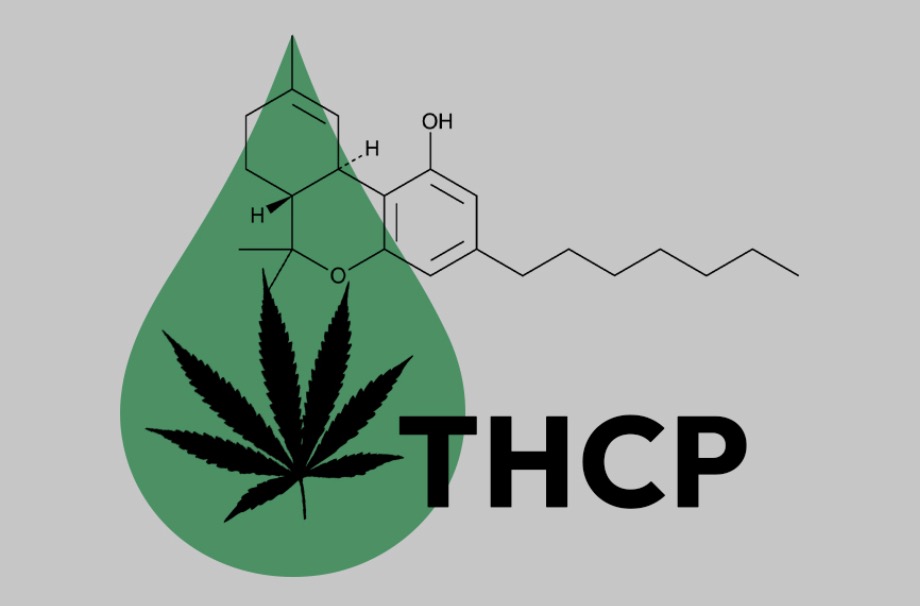 THC versus THCP, de cannabinoïde die 30 x sterker is dan THC - CNNBS.nl