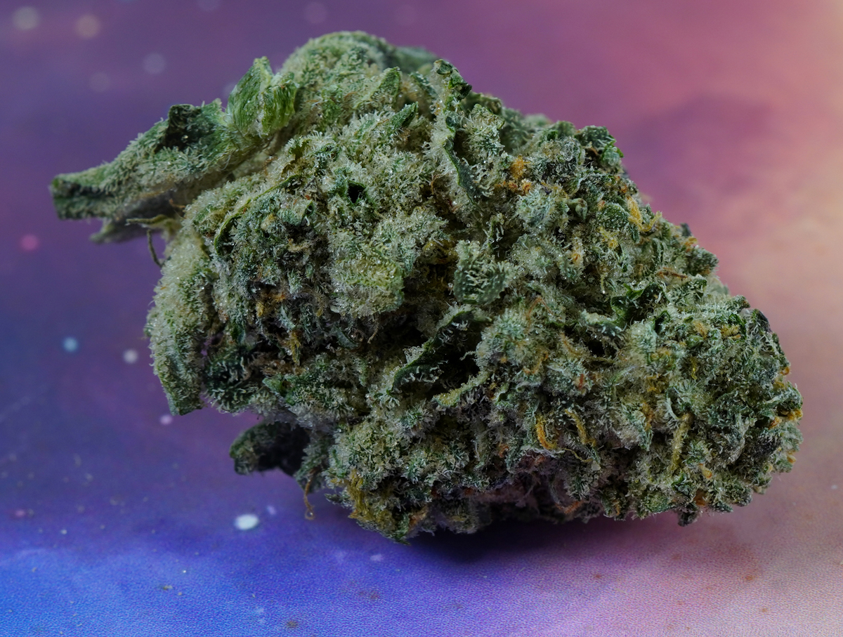 De Terp Inspectors gaan voor Skunk - CNNBS.nl