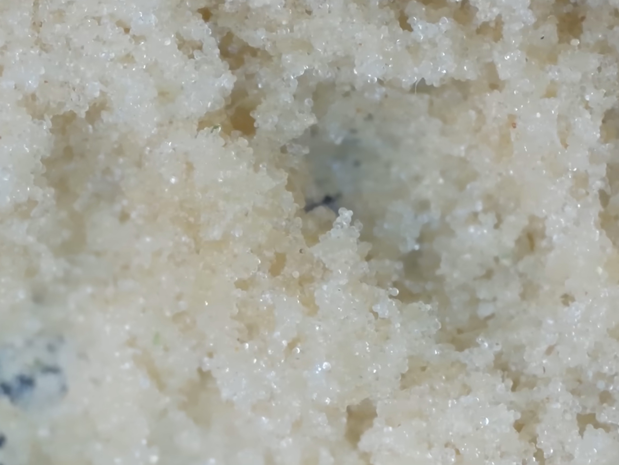 Static dry sift: de allerbeste hasj die je zelf kunt maken - CNNBS.nl