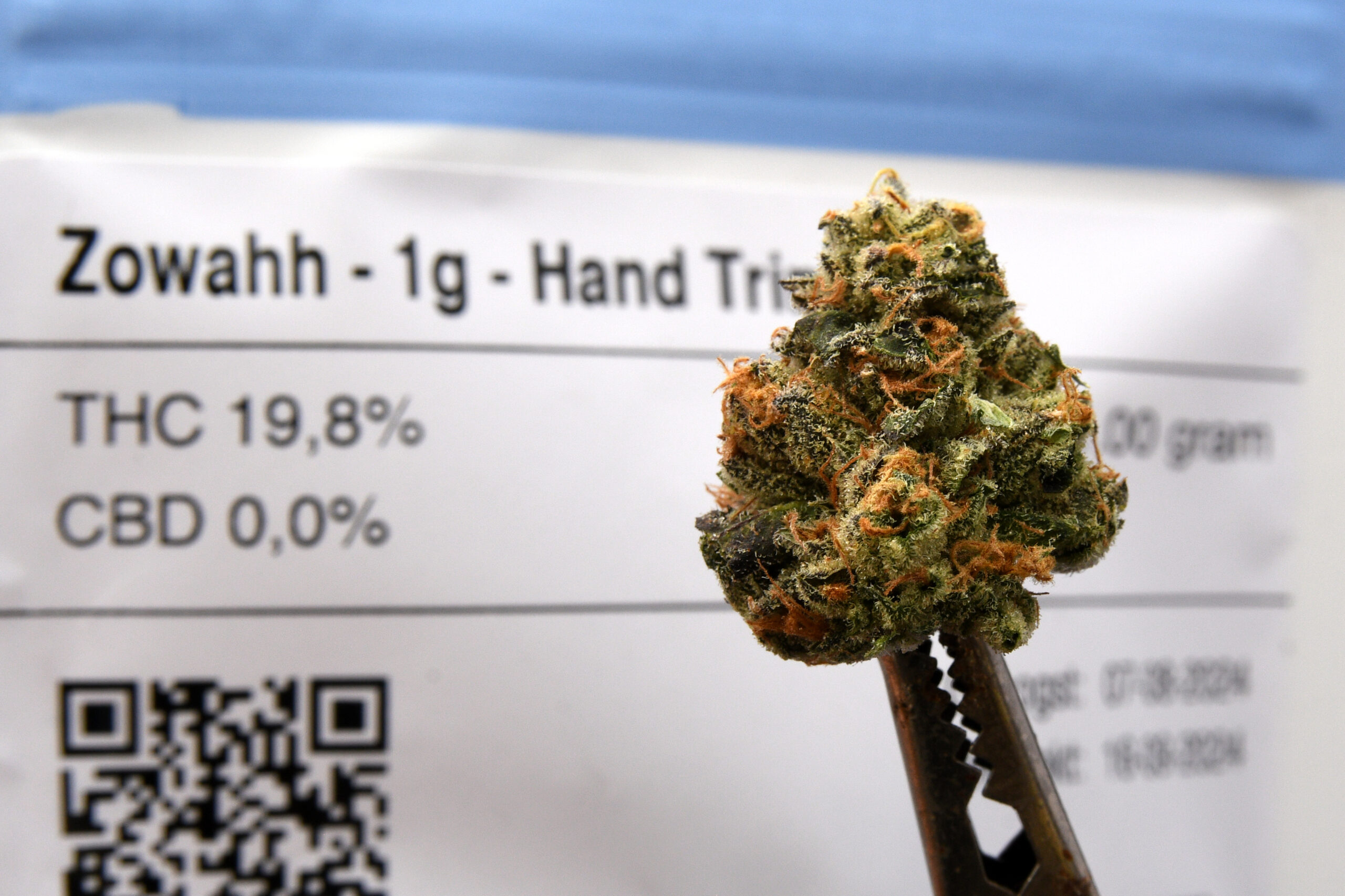 Studie: Eén THC-gehalte op legale wietverpakking is eigenlijk nonsens ...