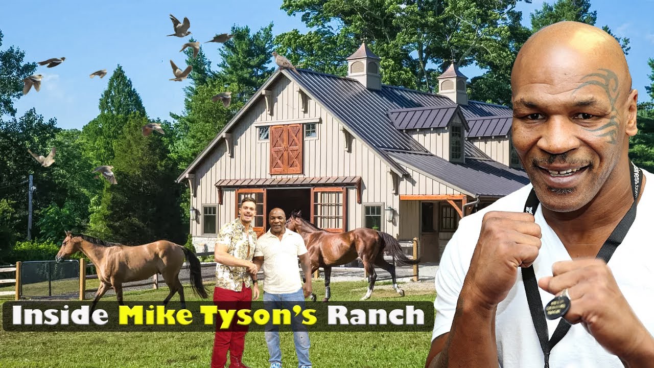 Op bezoek bij de cannabis ranch van oud-wereldkampioen boksen Mike ...