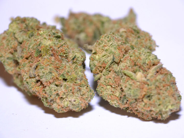 Arjan's Ultra Haze #1: nummer 1 sativa-sensatie nog steeds legendarisch ...