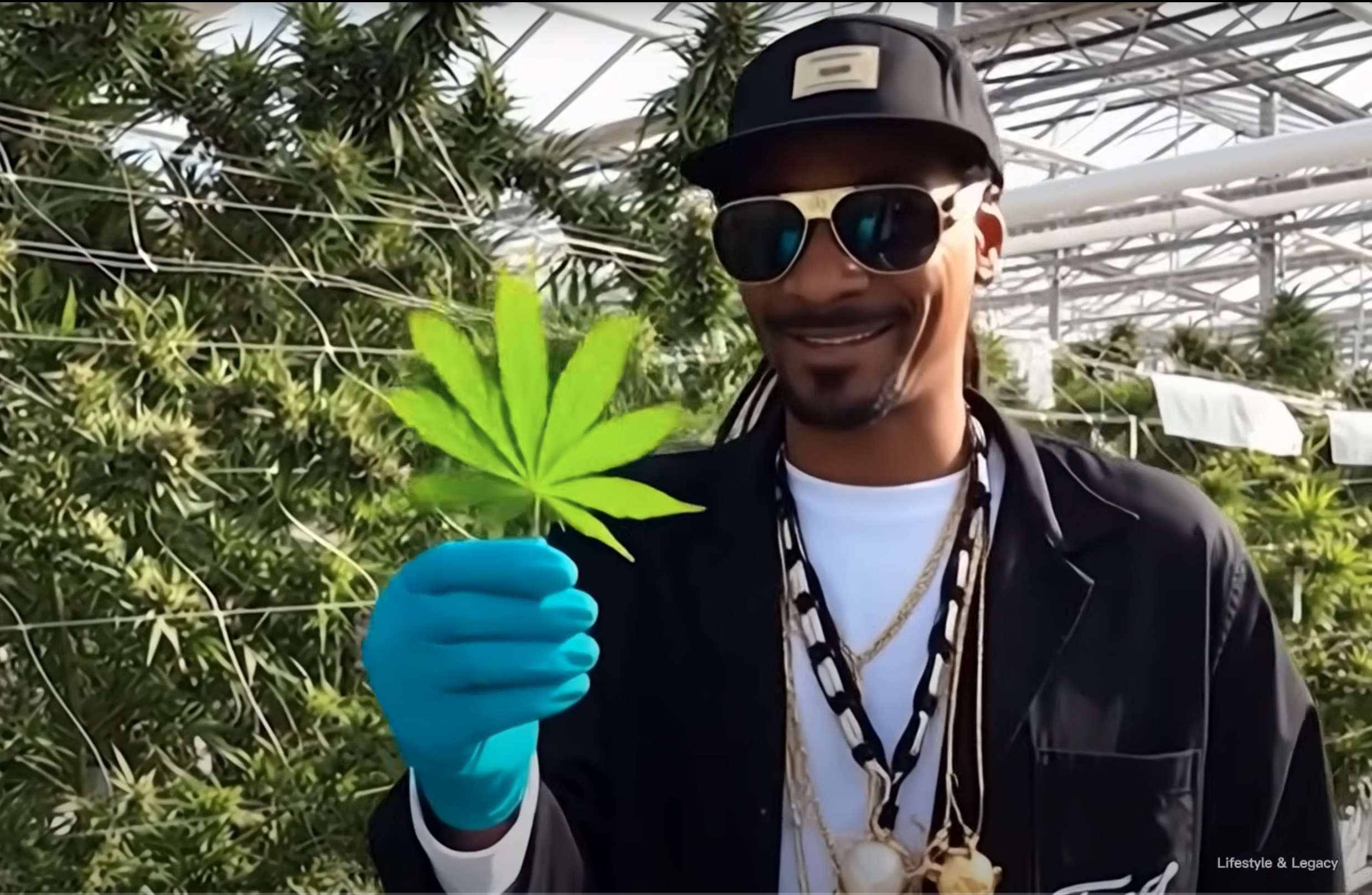 Binnenkijken bij Snoop Dogg's cannabis ranch (en leven) - CNNBS.nl