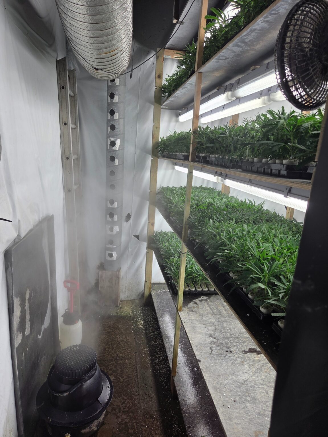 Cannabis foto’s • 6 actuele beelden uit de oorlog tegen wiet (#77 ...